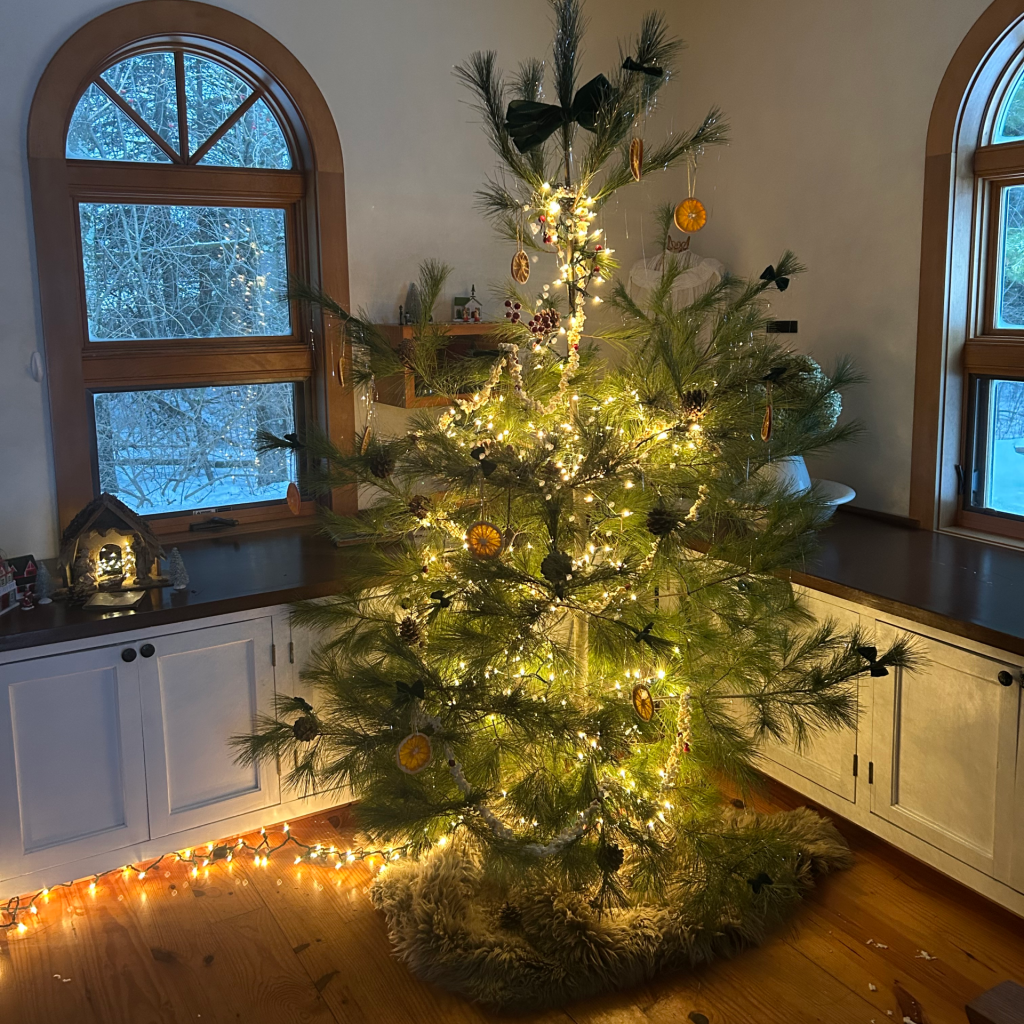 Celebrating a Successful Glimpse of Christmas Past! - Door County ...
